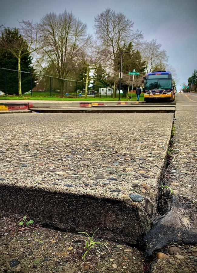 What can be done to fix the damaged roads? SDOT and Metro respond ...